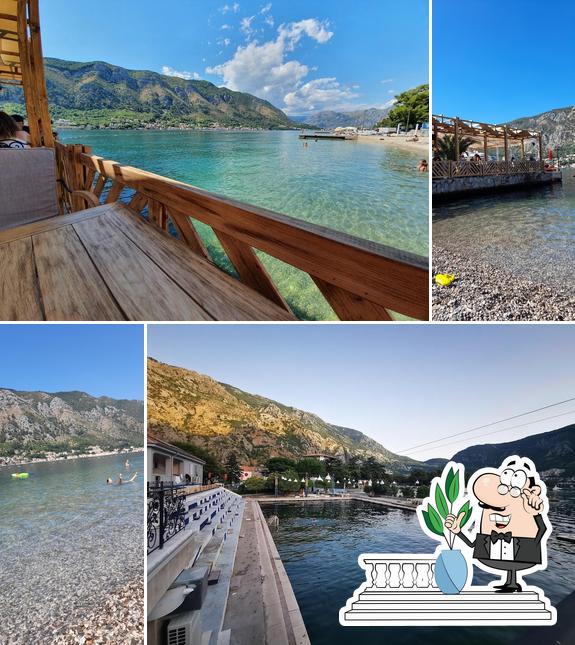 Little Bay restaurant, Dobrota - Restaurant reviews