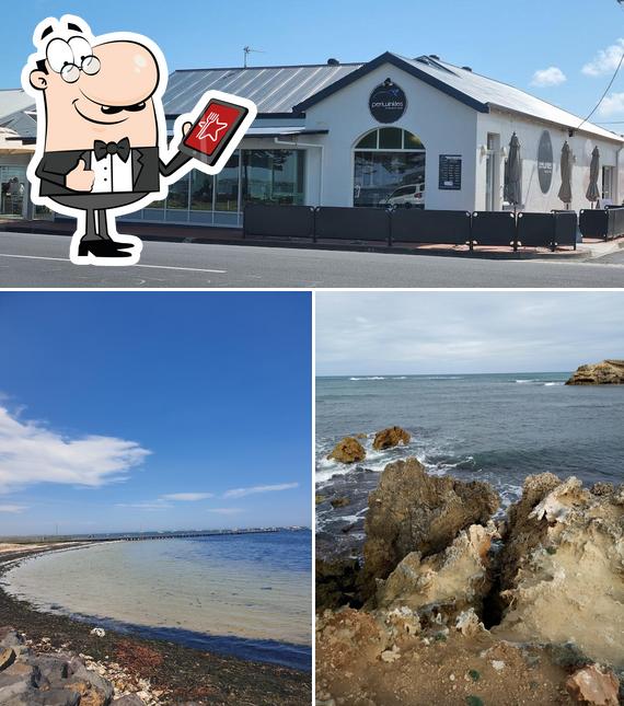 Salt Cafe & Bar, Port Macdonnell - Restaurant menu, prices and reviews