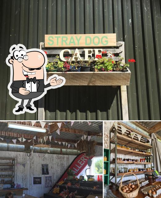 Stray Dog Cafe, Miranda - Restaurant menu, prices and reviews