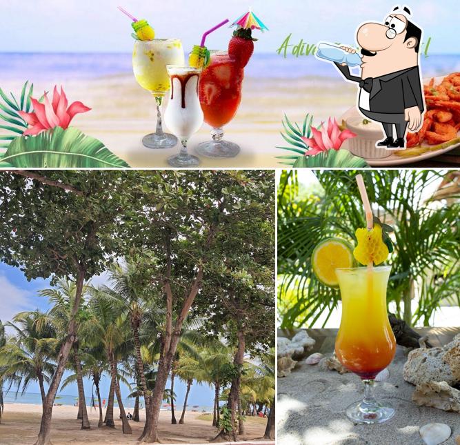 Coconut Maceió - Bar e Restaurante, Maceió - Menu do restaurante e ...