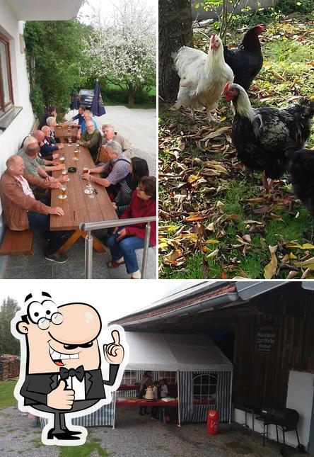 Rupert Forster Gaststätte restaurant, Leiblfing - Restaurant reviews