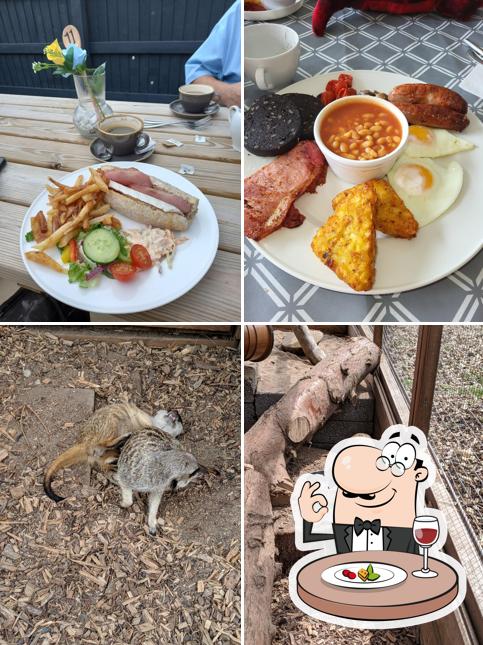 Viaduct cafe, Bristol - Restaurant menu, prices and reviews