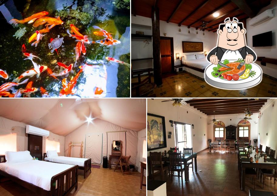 My Village - Eco Rural Resort, Anaikatti - Restaurant menu, prices and ...