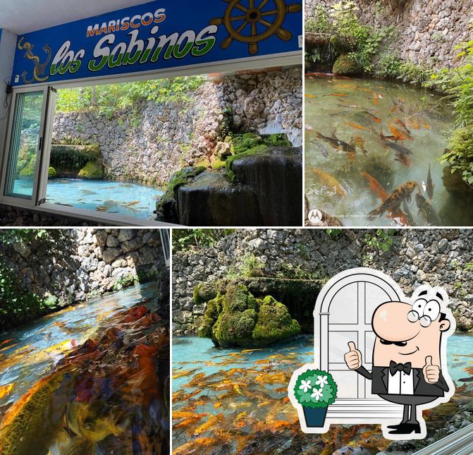 Mariscos Los Sabinos, Santiago - Menú del restaurante, precios y reseñas