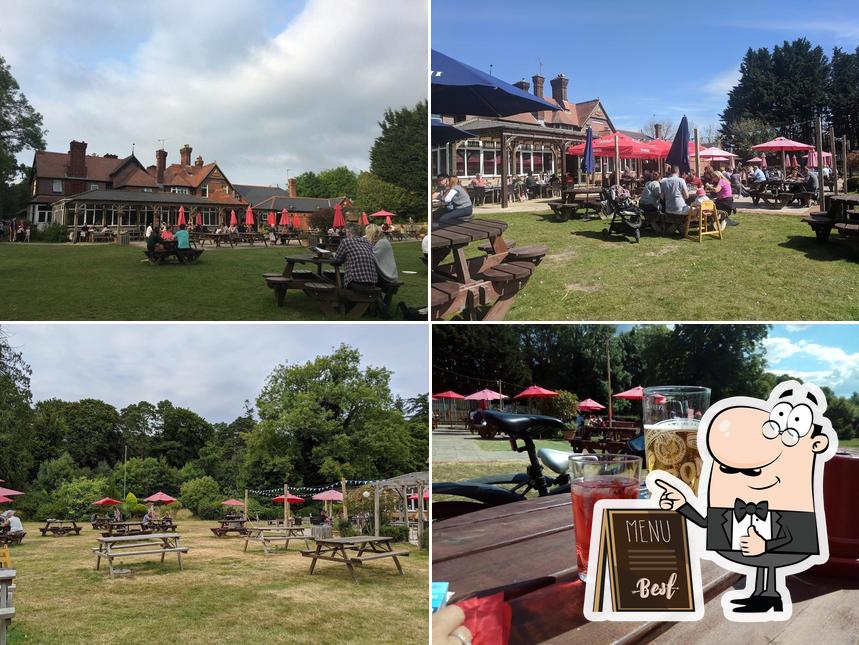 The New Forest, Ashurst in Southampton - Restaurant menu and reviews