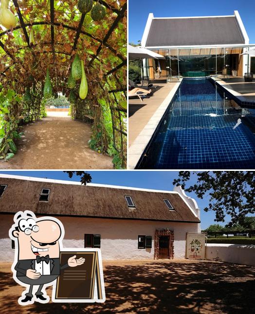 Babylonstoren - Restaurant menu, prices and reviews