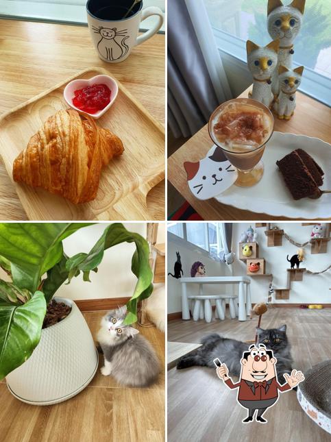 The little cat cafe, Rayong - Restaurant reviews
