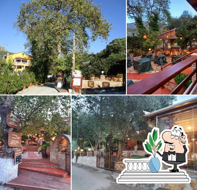Top 7 restaurants in Parga, october 2025 - Restaurant Guru