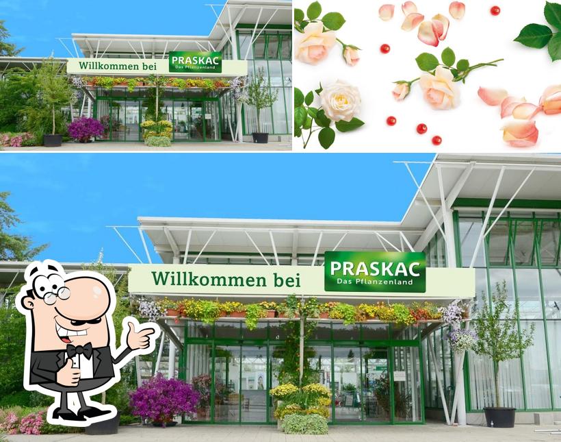 Café Praskac Pflanzenland GmbH, Tulln an der Donau - Opiniones del ...