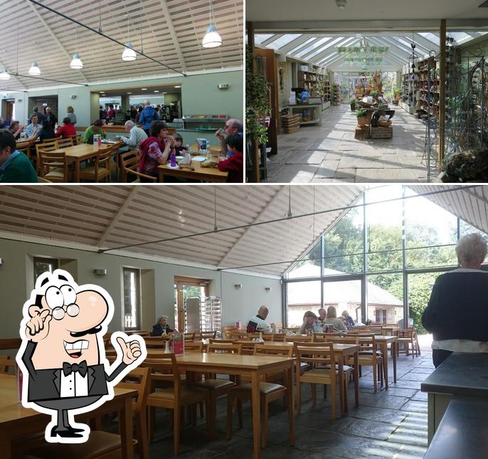 National Trust Restaurant, Mere - Restaurant menu, prices and reviews