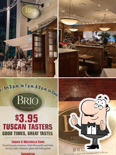 Brio Italian Grille, 4200 Conroy Rd in Orlando - Restaurant reviews