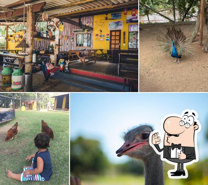 Fazenda Rico Caipira restaurante, Vila Velha - Avaliações de restaurantes