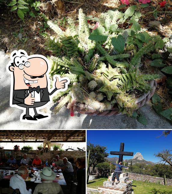 El Arado Restaurante y Museo del Campesino, Bernal - Restaurant reviews