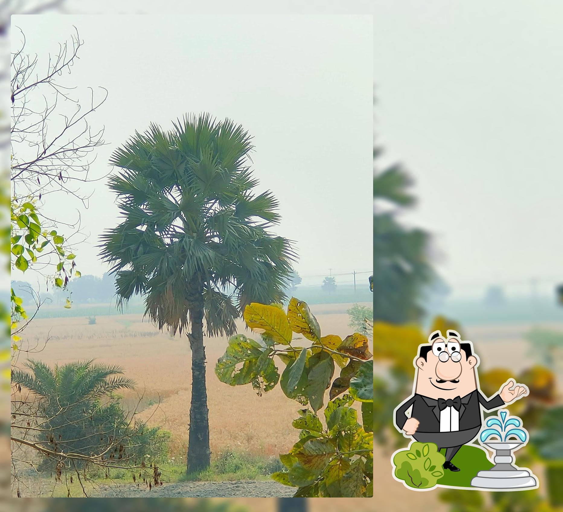 Baba Tea Stall, Noida, G9GQ+486 - Restaurant reviews