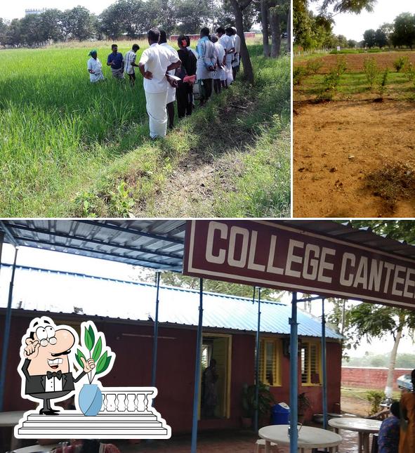 AEC&RI,College Canteen, India - Restaurant reviews