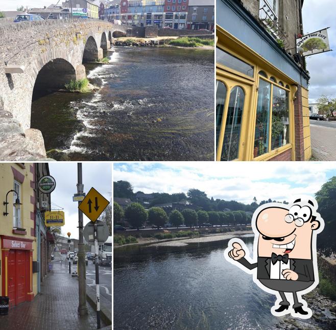 Cotton Tree Cafe in Enniscorthy - Restaurant reviews