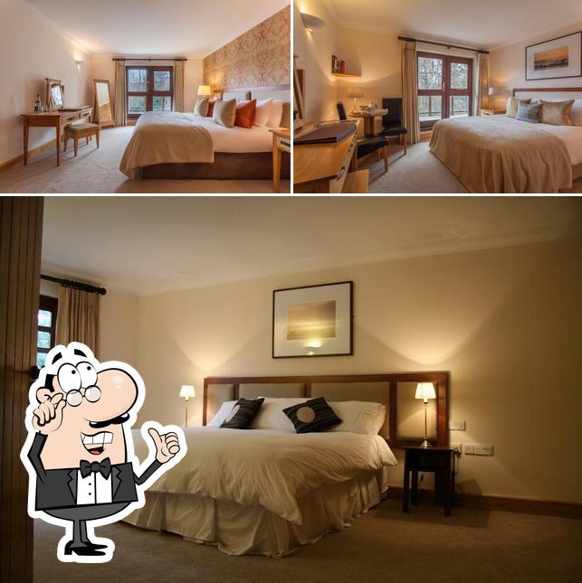 Delphi Resort in Ireland - Restaurant reviews