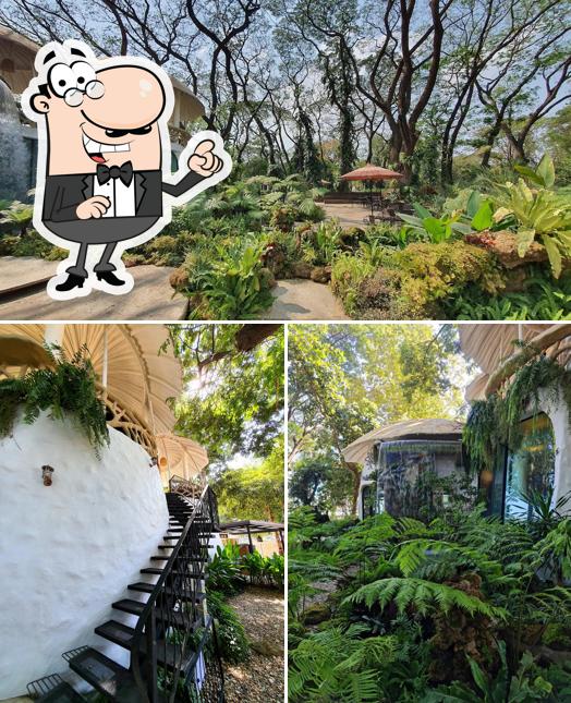 Much Room Cafe, Chiang Mai - Restaurant reviews