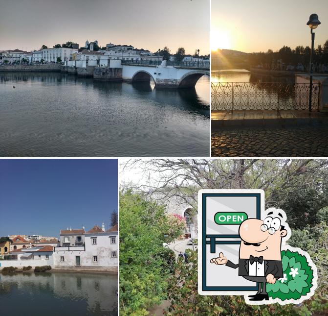 Top 5 restaurants with grilled octopus in Tavira, october 2024 ...