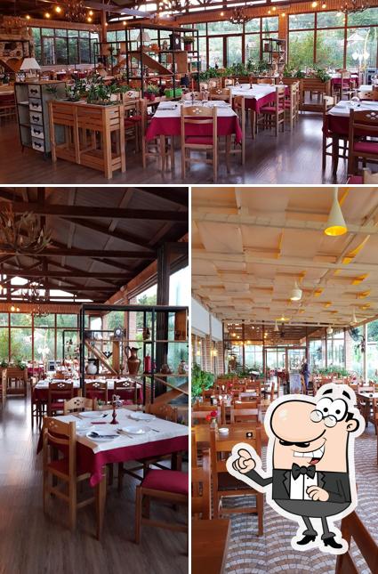 Nano Resort restaurant, Albania - Restaurant reviews