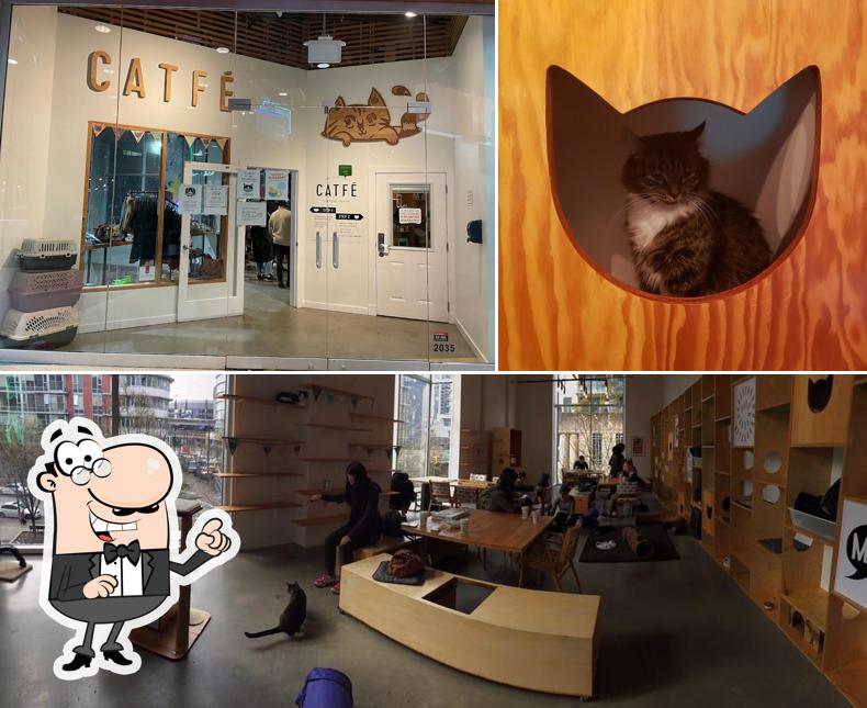 Catfe, Vancouver - Restaurant menu, prices and reviews