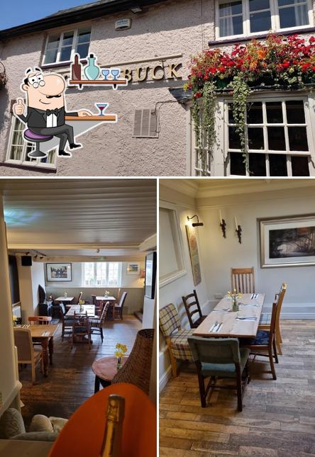 The Roebuck, Marlborough - Restaurant menu, prices and reviews