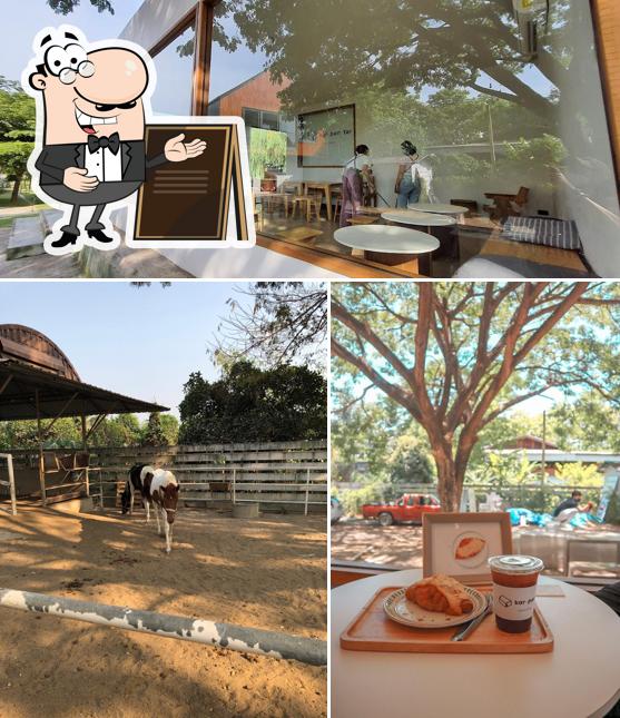 Karpenter Cafe & Bake, Lampang - Restaurant reviews