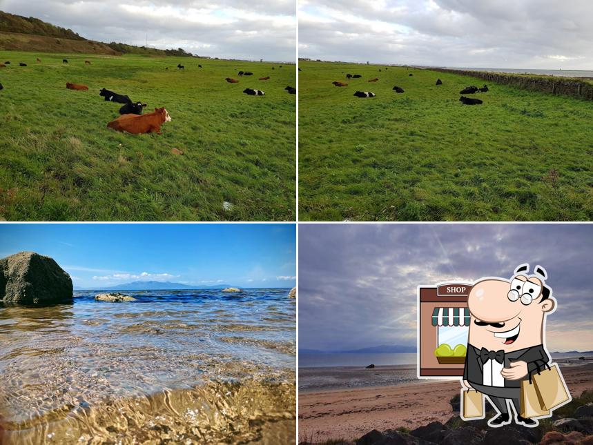 All places to eat and drink in Seamill, summer 2024 - Restaurant Guru