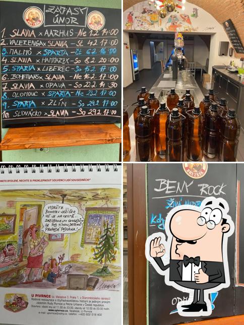 Pivnice U Zelené žáby pub & bar, Poděbrady - Restaurant reviews