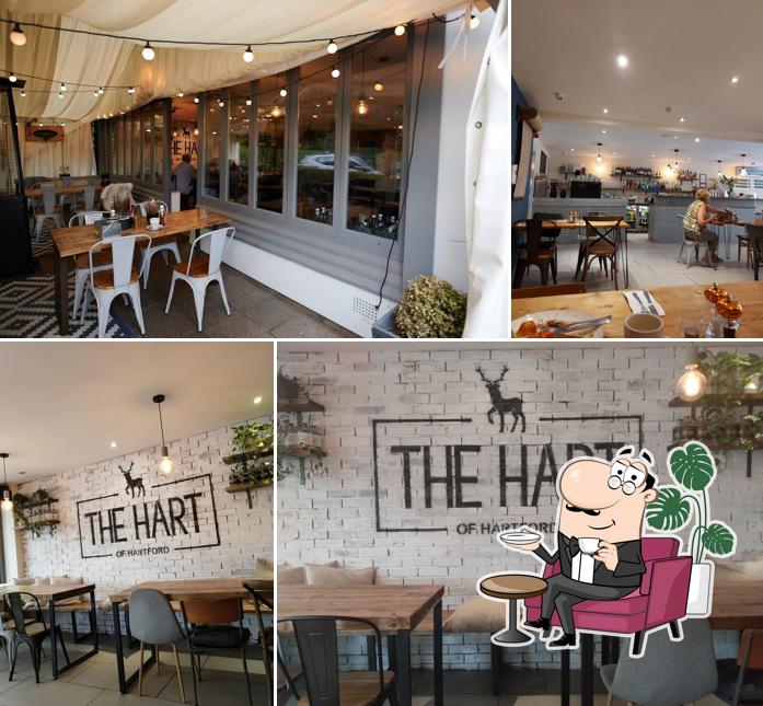 The Hart of Hartford in Hartford - Restaurant menu and reviews