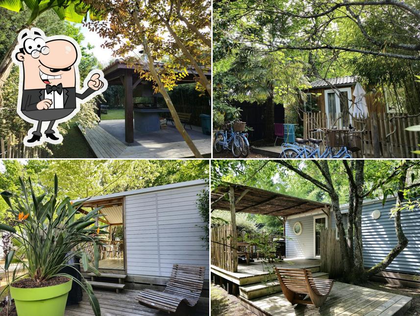 Pub y bar Camping Le Marache Vacances, Biganos - Opiniones del restaurante