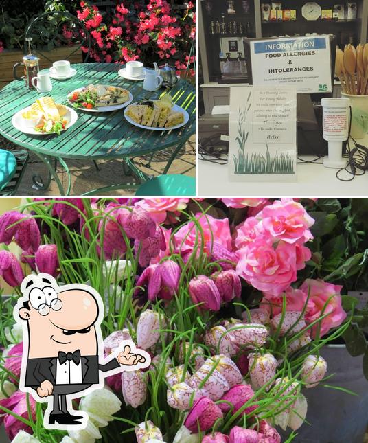 Camelia Botnar Coffee Shop, Cowfold - Restaurant menu, prices and reviews