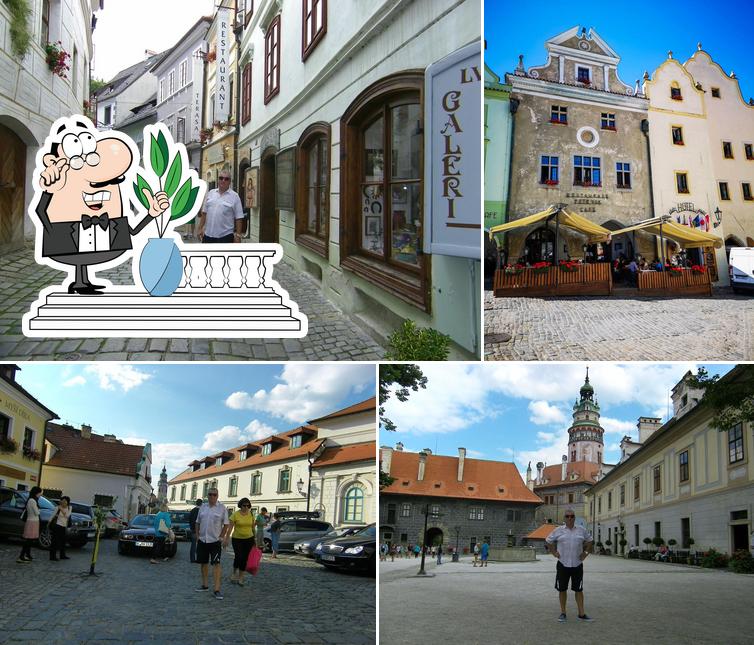 Restaurace Petr Vok Cafe Pufta, Český Krumlov - Restaurant reviews