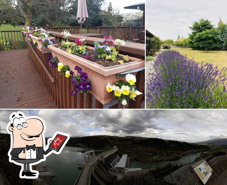 Lake Roxburgh Lodge in Lake Roxburgh Village - Restaurant reviews