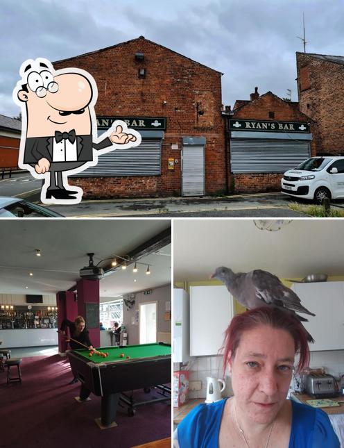 Ryan's Bar, Sale - Restaurant menu, prices and reviews