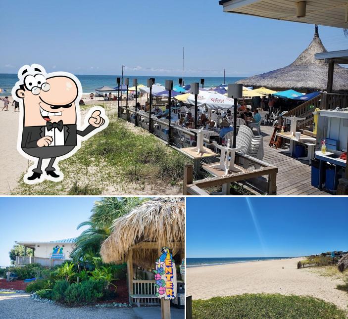 Blue Parrot Ocean Front Cafe - Restaurant menu, prices and reviews