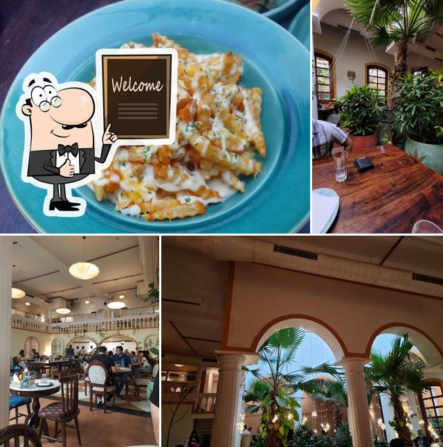 Colocal Chocolates! Dhan Mill, Delhi - Restaurant menu and reviews