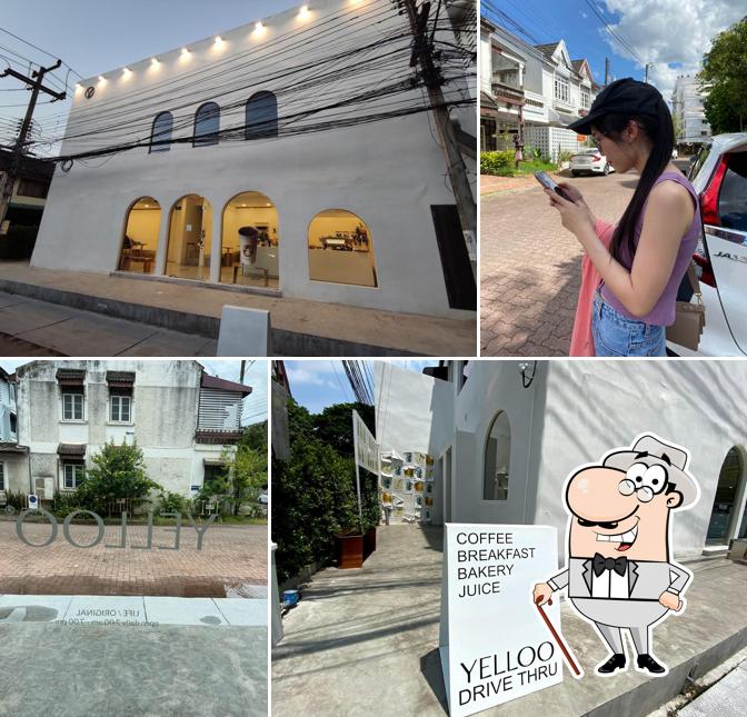 Yelloo, Chiang Mai - Restaurant reviews