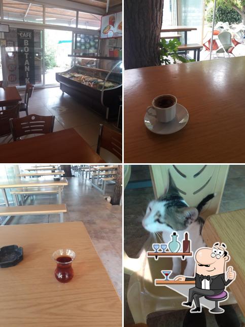 Botanik Cafe, Izmir - Restaurant reviews