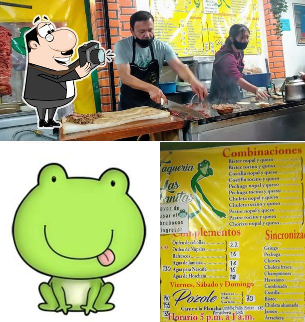 TAQUERIA LAS RANITAS restaurant, Mexico City - Restaurant reviews