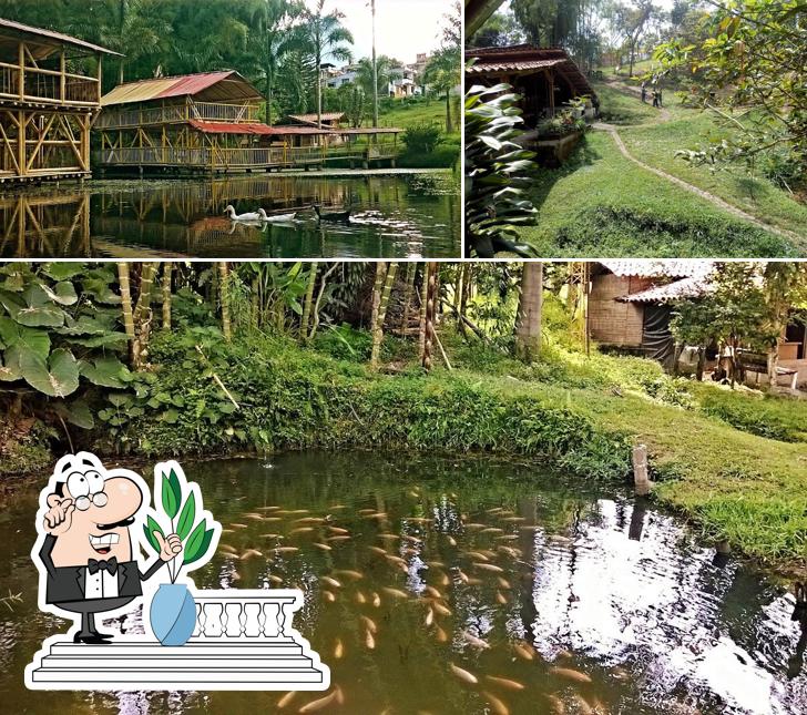 Eco Parque Las Margaritas, Riosucio - Menú del restaurante, precios y ...