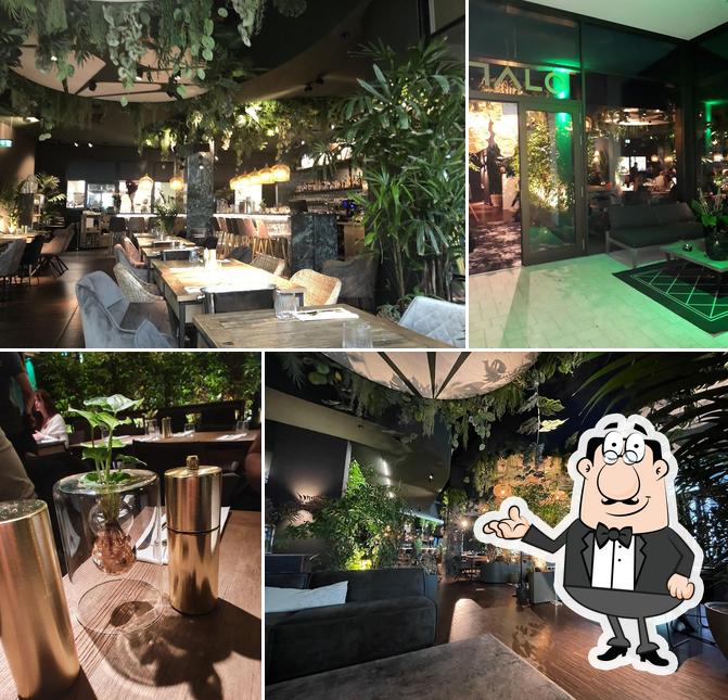 MALO restaurant, Stuttgart - Restaurant reviews