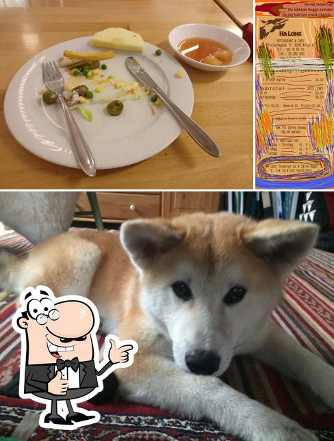 Ha Long Restaurant, Aarhus, Finlandsgade 17 - Restaurant reviews