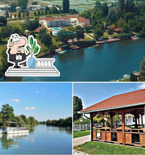 Aranyszarvas Panzió, Étterem és Grillterasz, Szarvas - Restaurant reviews