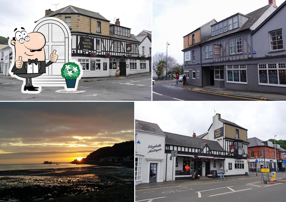The White Rose, The Mumbles - Restaurant menu, prices and reviews