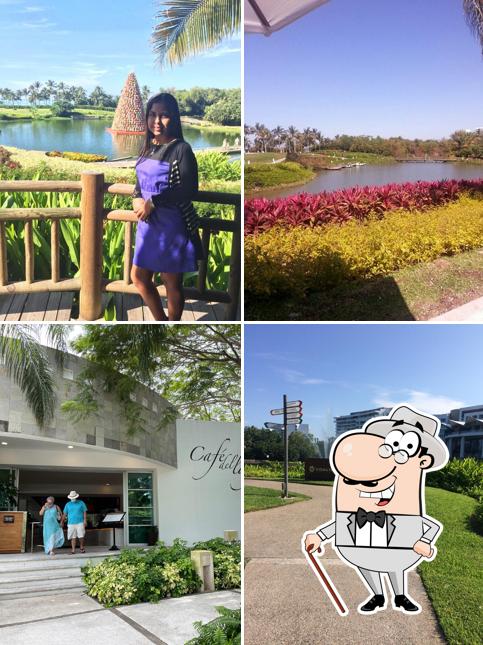 Cafe Del Lago, Nuevo Vallarta - Restaurant reviews