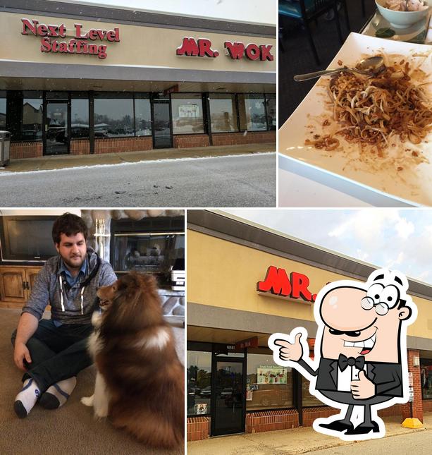 Mr Wok - Southeast Asian, Pewaukee - Restaurant menu, prices and reviews