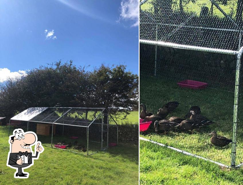 Copper Coast Mini Farm in Ireland