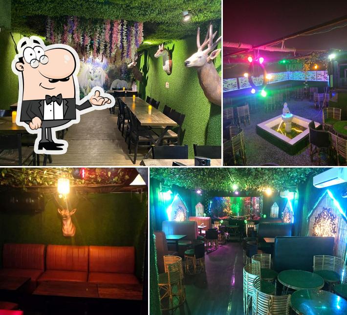 Junglee Taapu Cafe, Delhi, 383 - Restaurant reviews