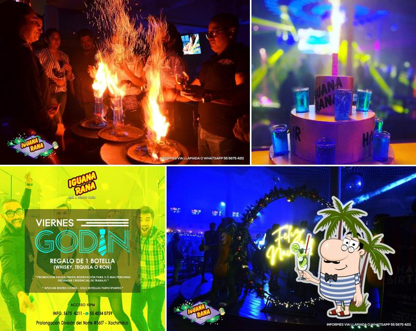 IGUANA RANA BAR & DISCO, Ciudad de México - Menú del restaurante ...
